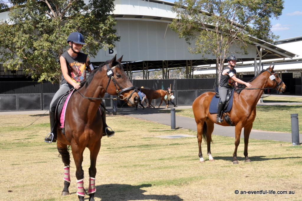 Inter Schools Horse Extravaganza Tamworth | An Eventful Life