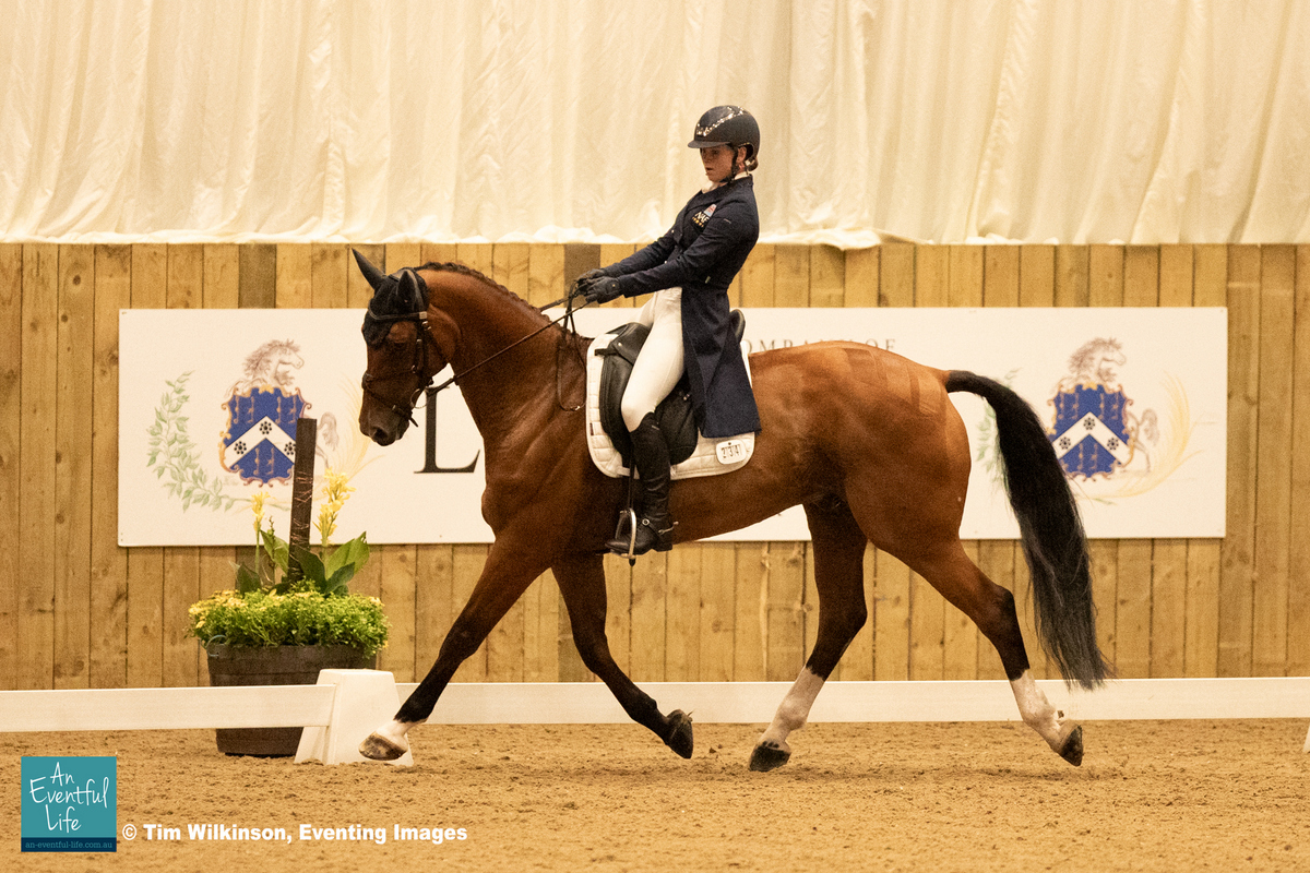 Piggy March leads at Hartpury Int Horse Trials | An Eventful Life