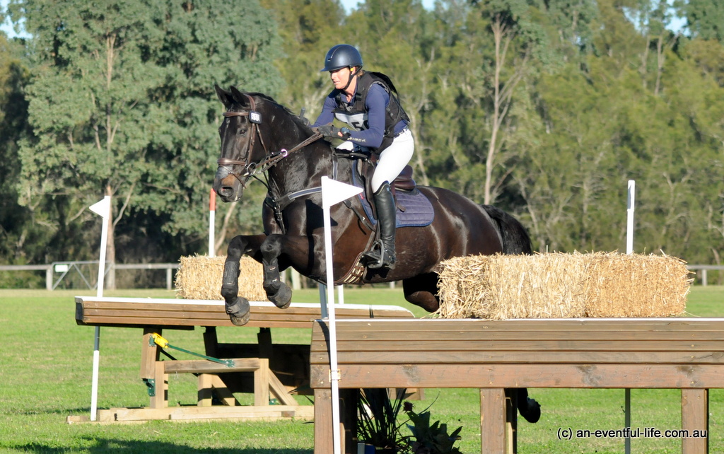 Jess Rae wins CCN4 Star at Equestriad | An Eventful Life