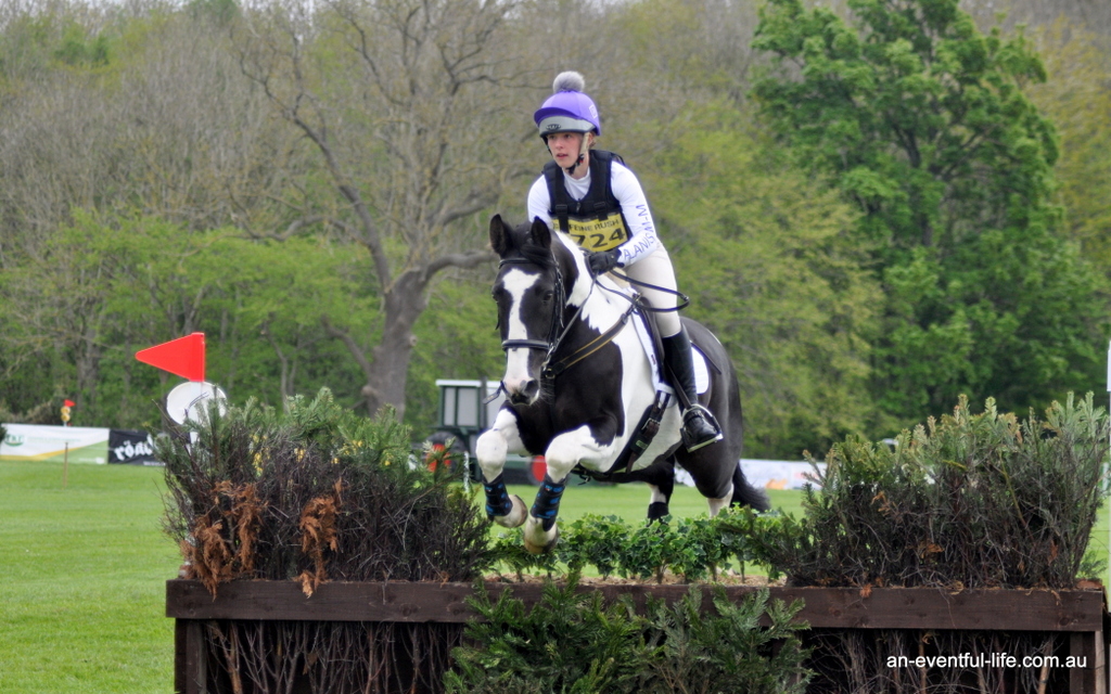 Richmond Equestrian Centre Pony Club Area Qualifier & ODE 2024