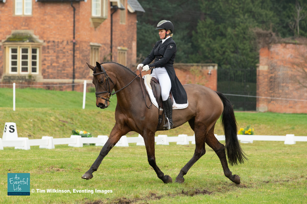 FEI Eventing Dressage Tests 2024 | An Eventful Life