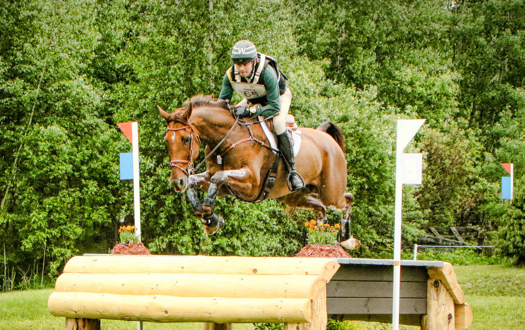 Vale Woodstock Bennett, Ryan Wood’s 5* eventing horse