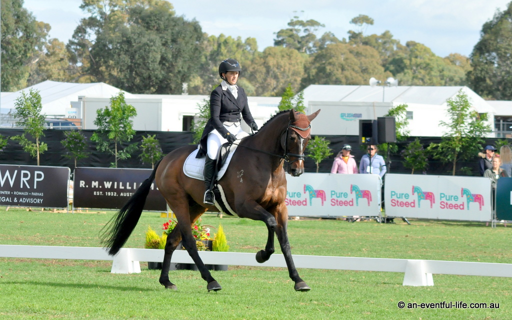Adelaide Equestrian Festival CCI5* Dressage | An Eventful Life