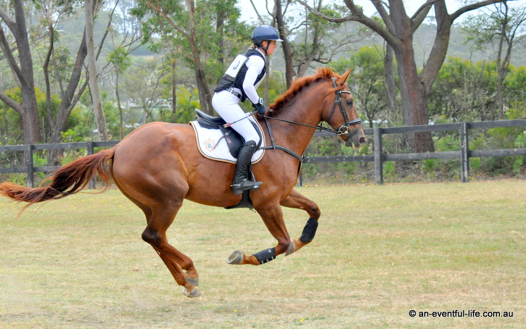 Shenae Lowings & Sam Woods at Young Horse Festival Wallaby Hill