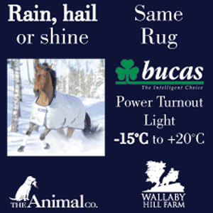 Ad - Mrec - Animal Co | An Eventful Life