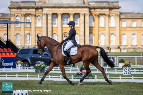 2023 Blenheim Palace Horse Trials photos | An Eventful Life