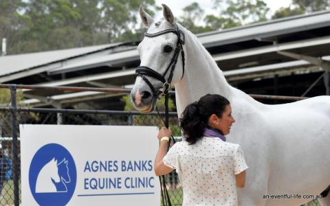 Sydney International 3 Day Event 2025 Photo Gallery