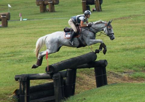 Horse for Sale: Two Star Eventing Schoolmaster | An Eventful Life