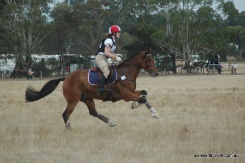 Perfect your galloping position | An Eventful Life