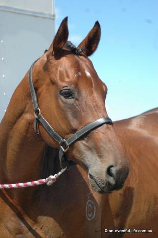 Charlotte Littlefield interview | An Eventful Life