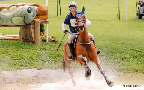 Andrew McConnon horse abuse disciplinary proceedings underway