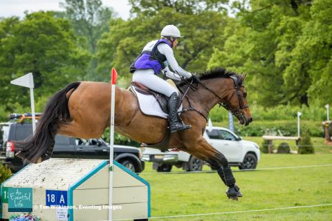 Eventing frangible fence design improvements may save lives